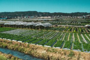 DENR EIS Requirements: Environmental Impact Statement Guide